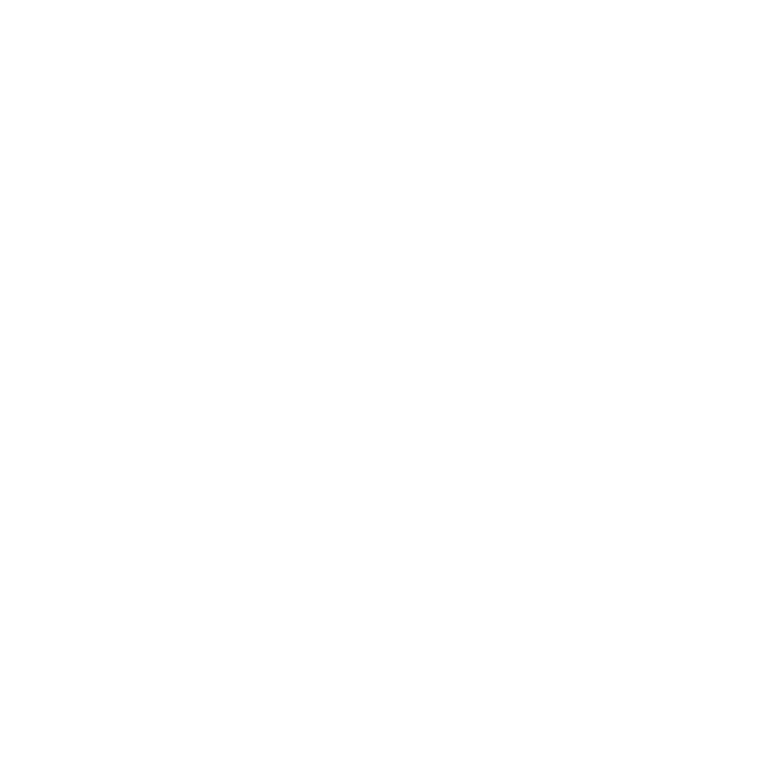 About us: The first digital certification institute - DICIS